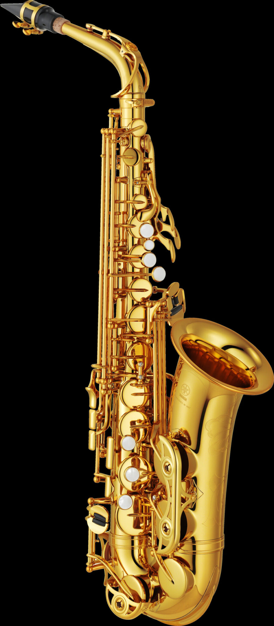 10 Types of Saxophones - Musical Mum