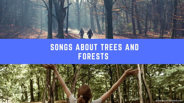 20 Songs About Trees and Forests - Musical Mum