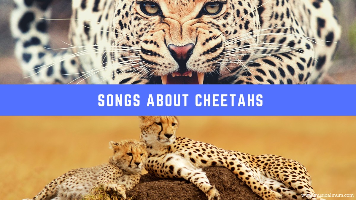 20 Songs About Cheetahs - Musical Mum